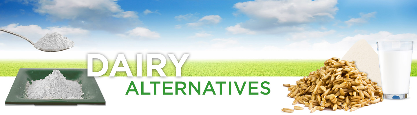 Dairy Alternatives - Axiom Foods
