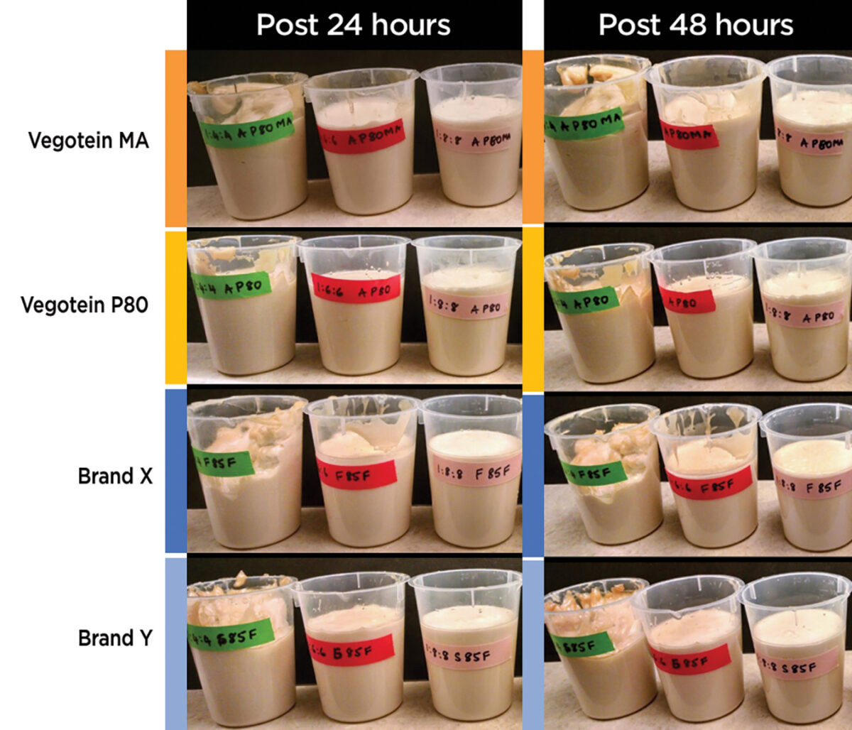 Meat Analogue and Extender Applications - Axiom Foods