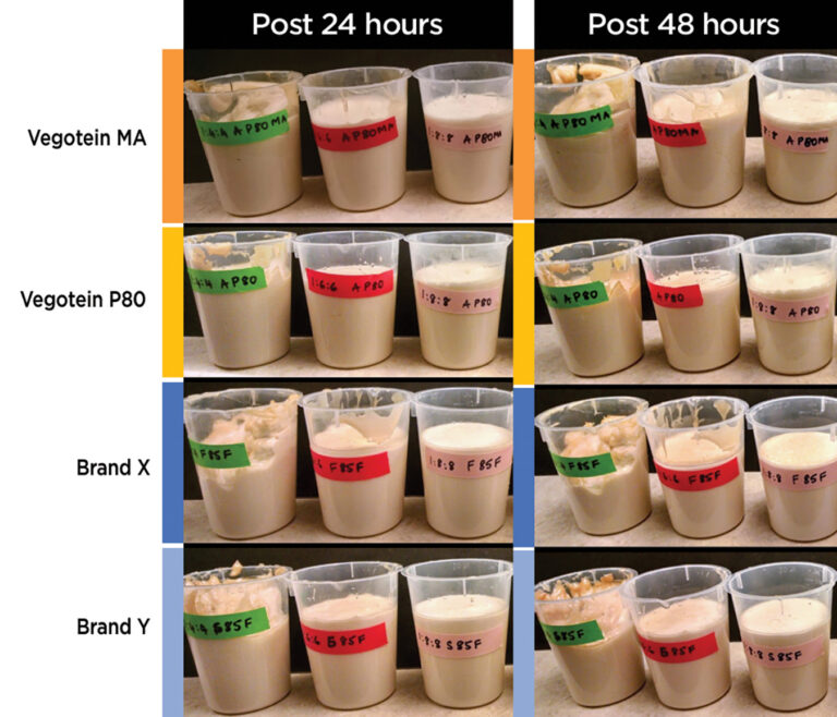 Meat Analogue and Extender Applications - Axiom Foods
